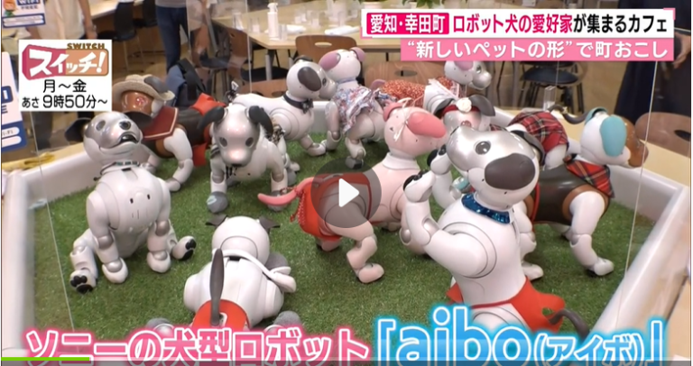 【aiboTV放送情報】【12月13日まで】スイッチ！幸田町にファン集結！アイボカフェが大人気。放送がインターネットで見れます | aiboの ...