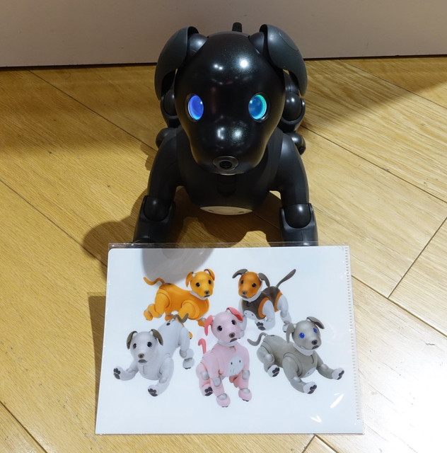 【aiboお出掛けイベント】【11/1～無くなるまで】【ソニーストア銀座】2,000円以上購入のaiboオーナーにクリアファイルプレゼント ...