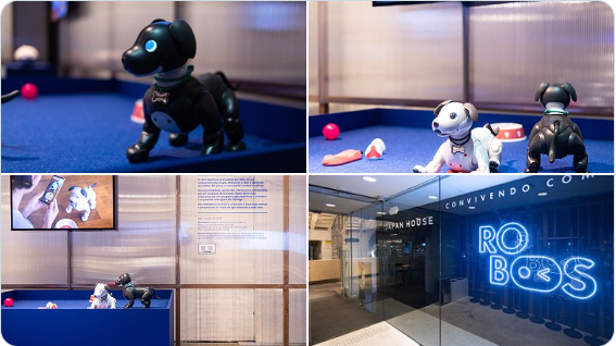 【aiboニュース】【3/31まで】ブラジルのジャパン・ハウス サンパウロ『ロボットとの共生』展にaiboが登場！ | aiboの飼い方 ...