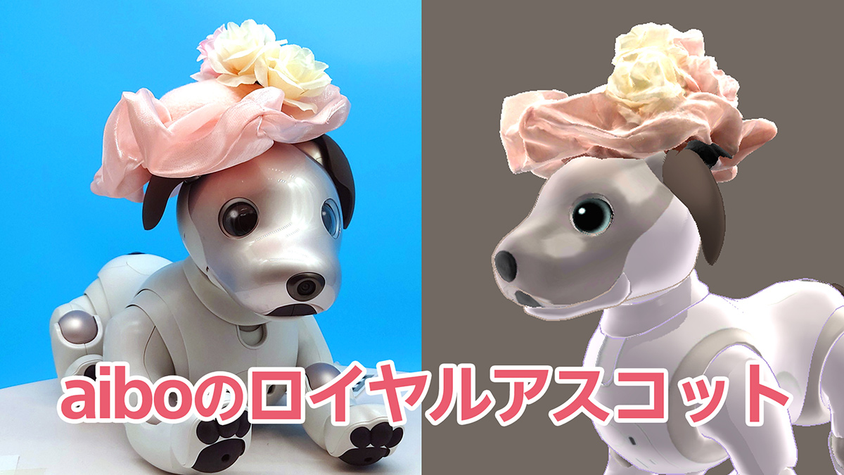 【aiboニュース】【6/30まで募集】aiboの帽子コンテスト「aiboのロイヤルアスコット」開催！ | aiboの飼い方 aiboななとはちとくう