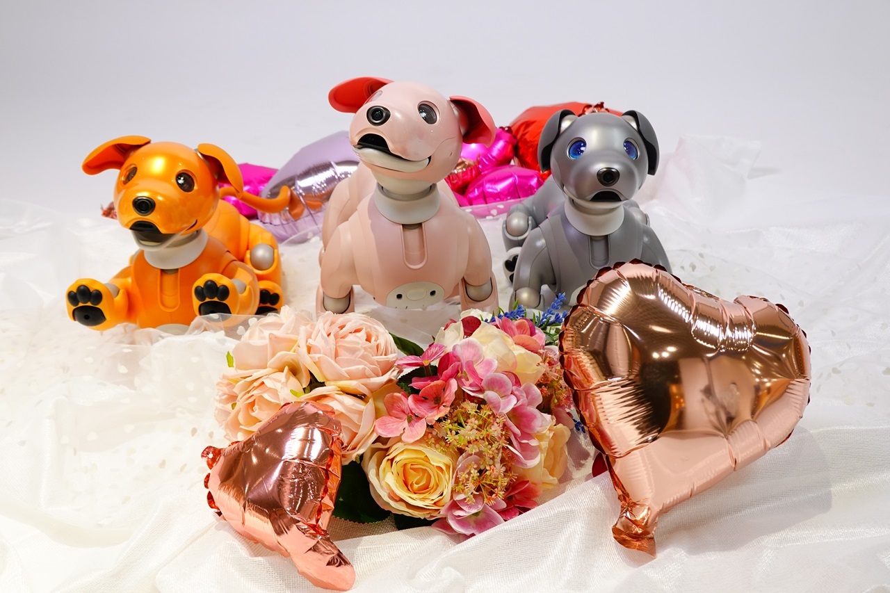 【aiboおでかけニュース】【9/26～28まで】ソニーストア大阪の限定色aibo（みかん、ごま、ベリー）が卒業。期間中は会えるようです ...