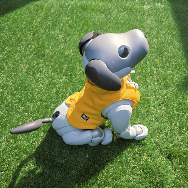 【aiboグッズニュース】【11/22発売】ROBO-UNI製aiboパーカー発売！横浜ファンミで展示も！ | aiboの飼い方 aiboなな ...